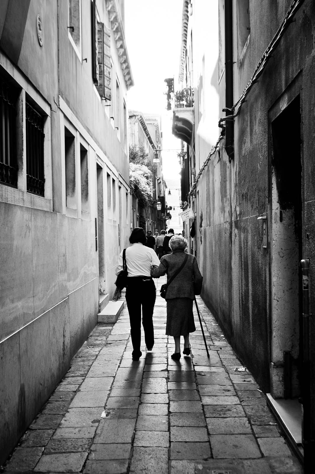 Strolling The Streets Of Venice, Italy - Zombie Bunny